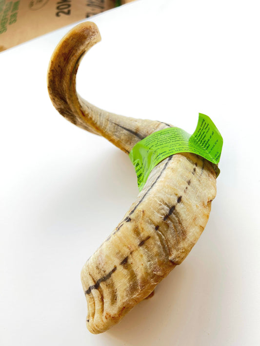 Lamb – Paws to hooves